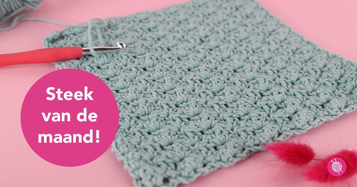 Steek van de Maand: Schelp Steek Haken